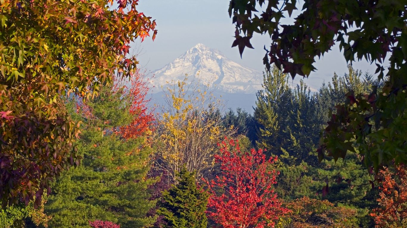 When and where to see peak fall foliage in Portland - Axios Portland