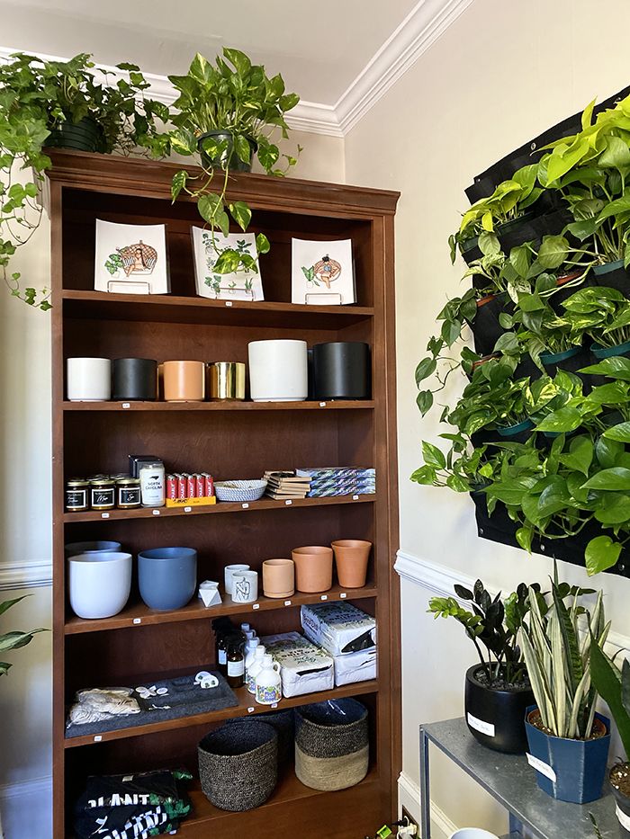Here’s a look inside Elizabeth’s new plant shop. Plus: 5 plant care ...