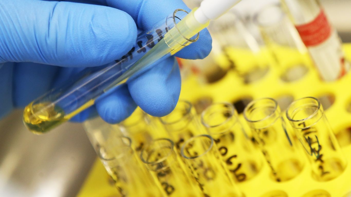 Scientists discover first new strain of HIV since 2000
