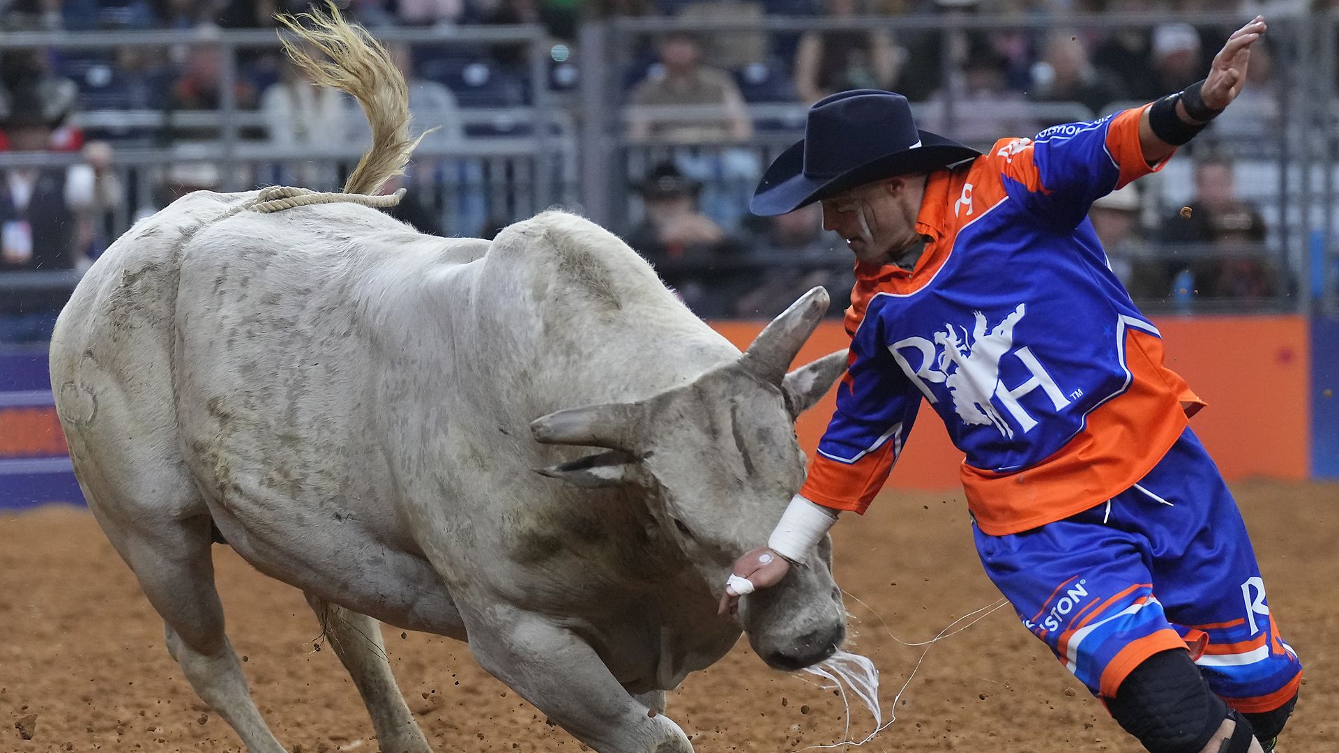 What you need to know about the Houston Livestock Show and Rodeo ...