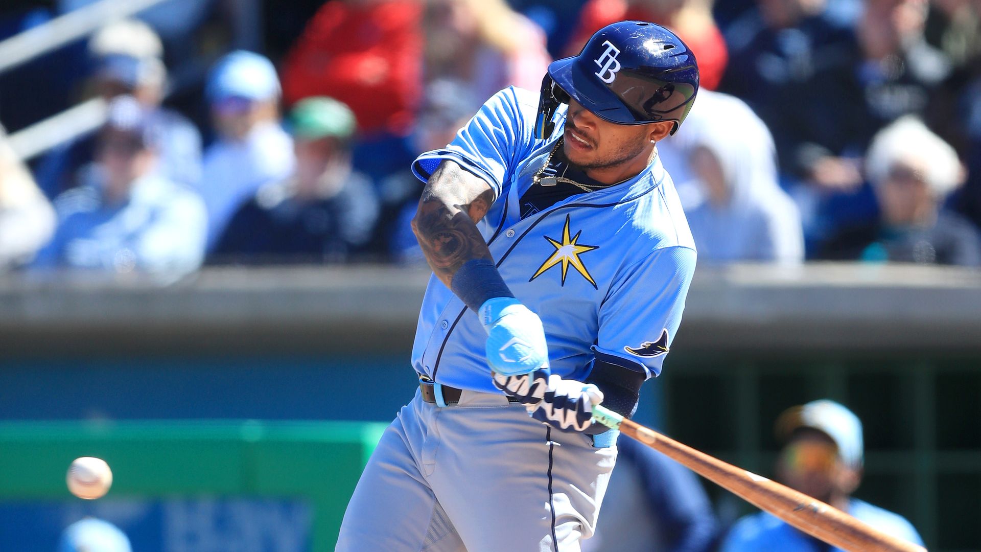 Survey finds Tampa Bay Rays fans are unusually patient - Axios Tampa Bay