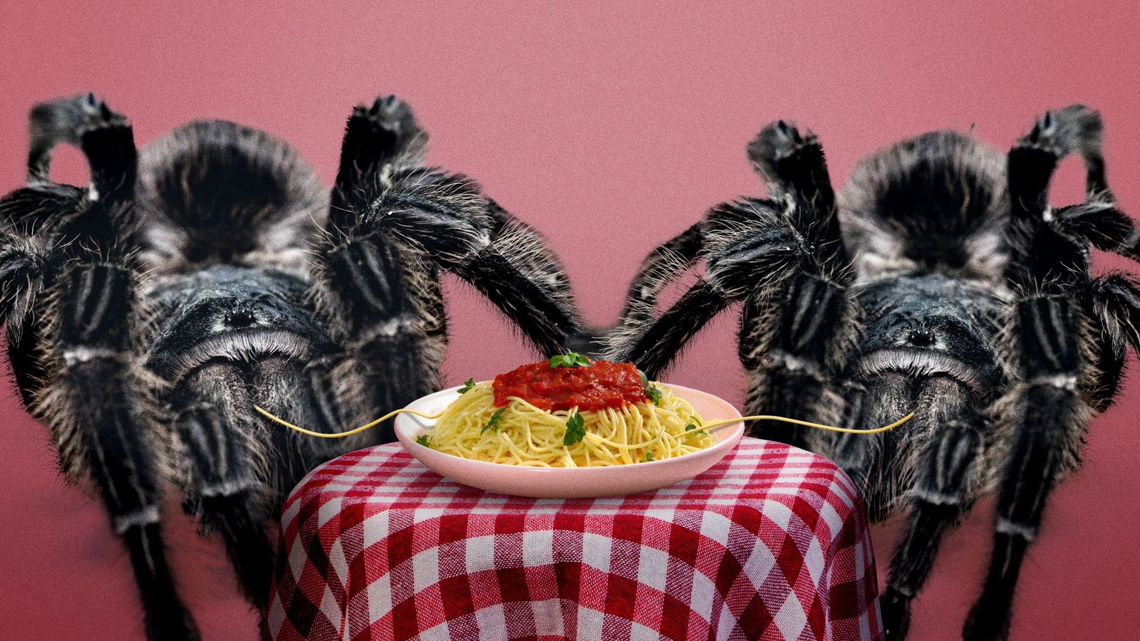California tarantulas crawl around San Diego as mating season begins ...