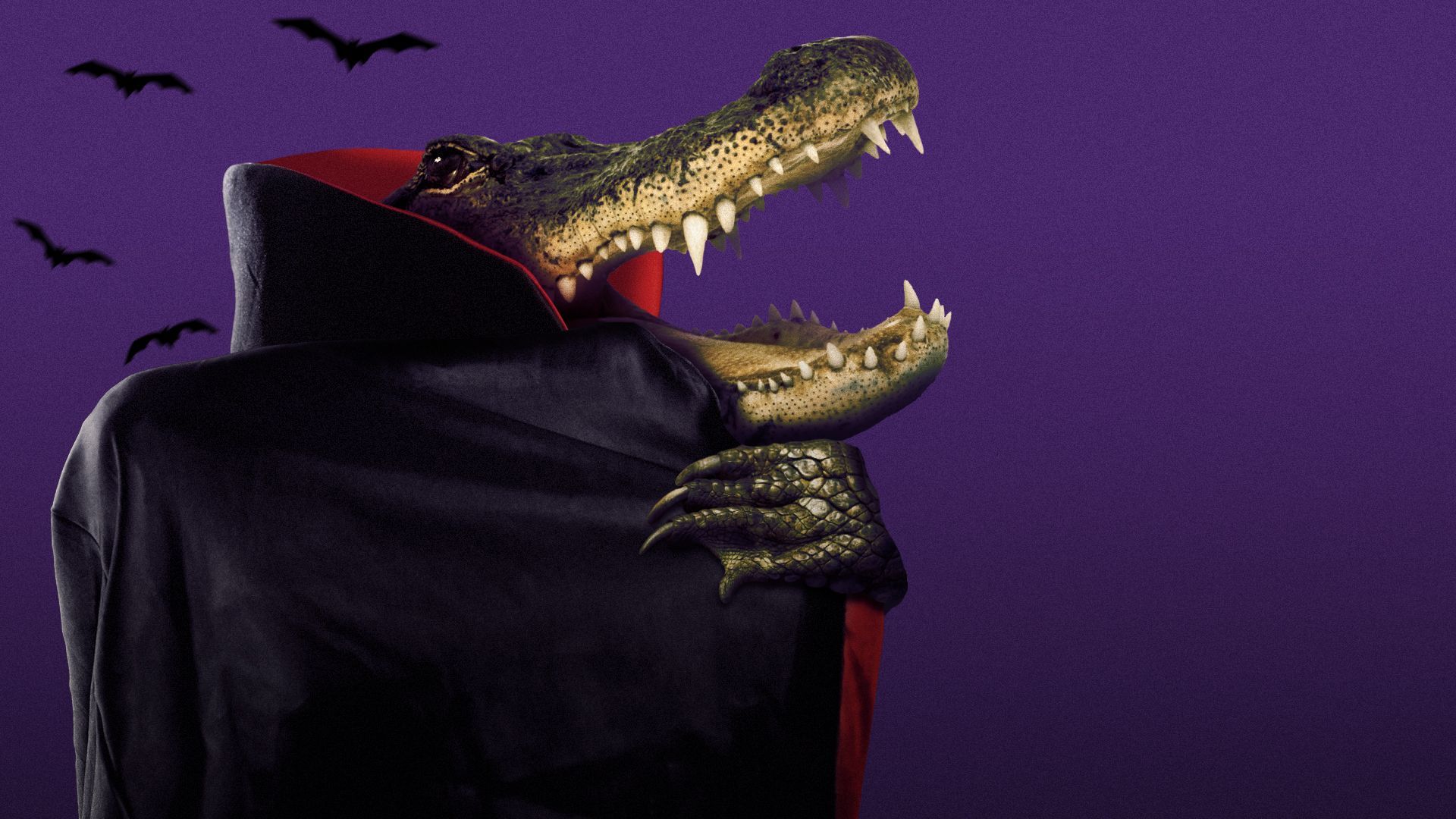 10 ways to embrace your inner vampire in New Orleans, including an Anne ...