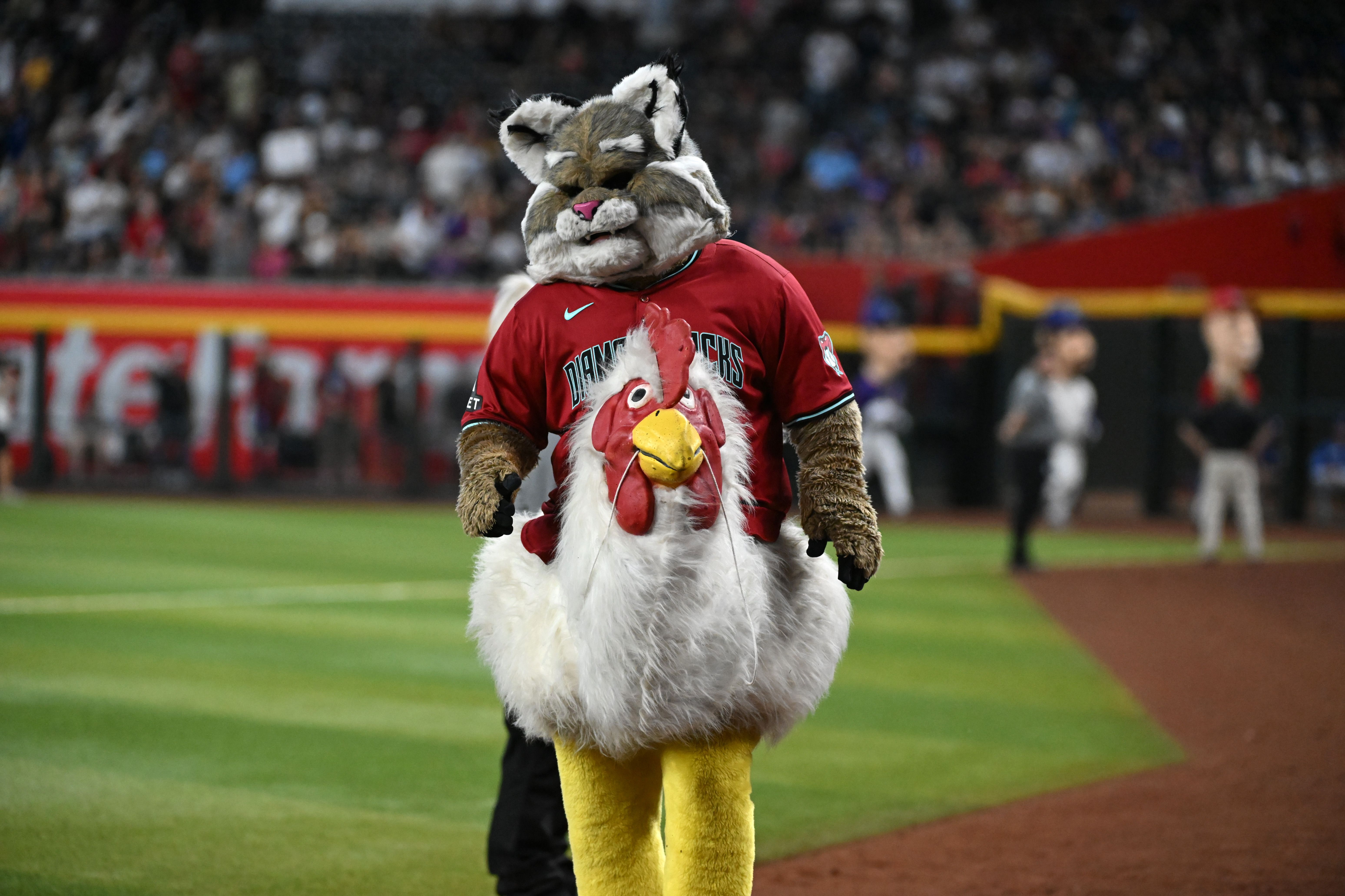 Arizona D-Backs' Baxter crowned MLB's sexiest mascot - Axios Phoenix