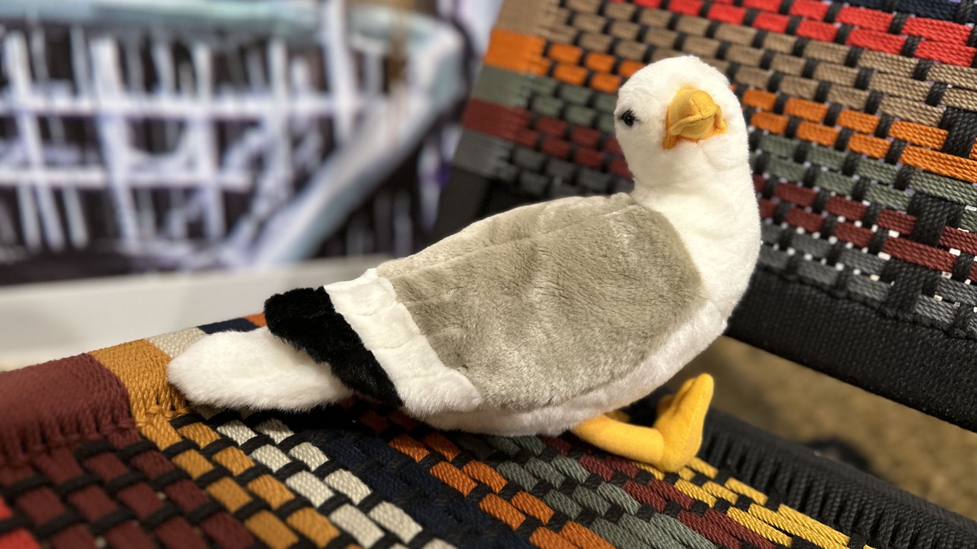 Where's Townie? - Axios Boston