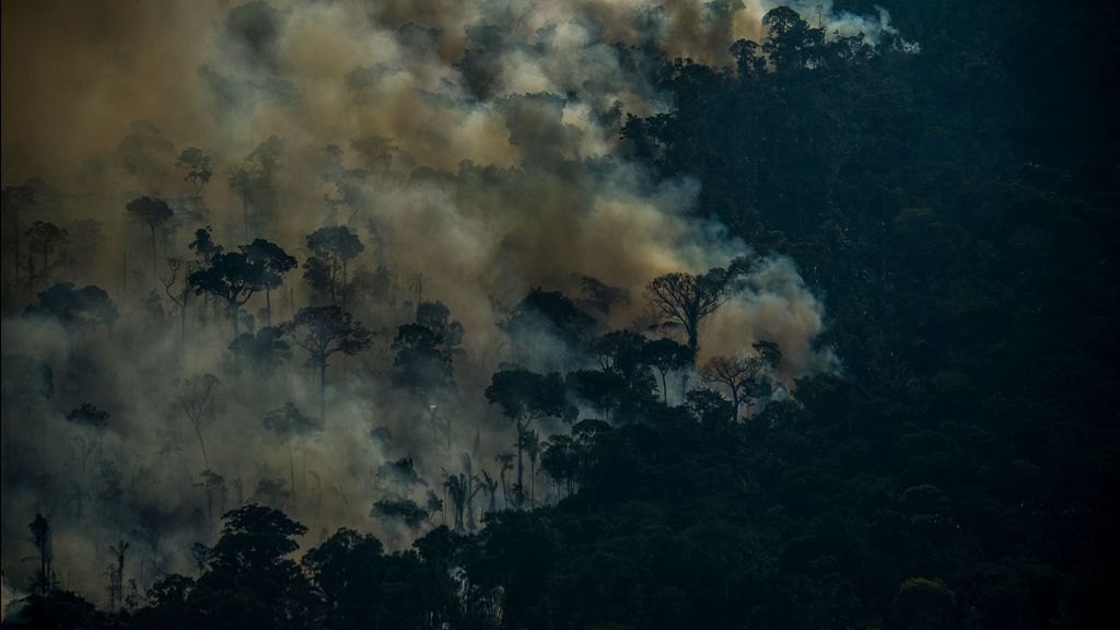 August fires in Brazil's Amazon rainforest hit new 12-year high