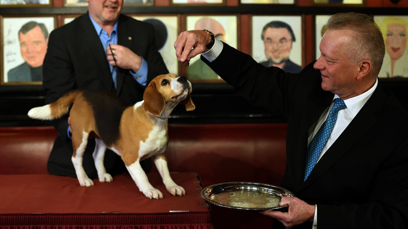 Pet food e-commerce giant Chewy files for IPO