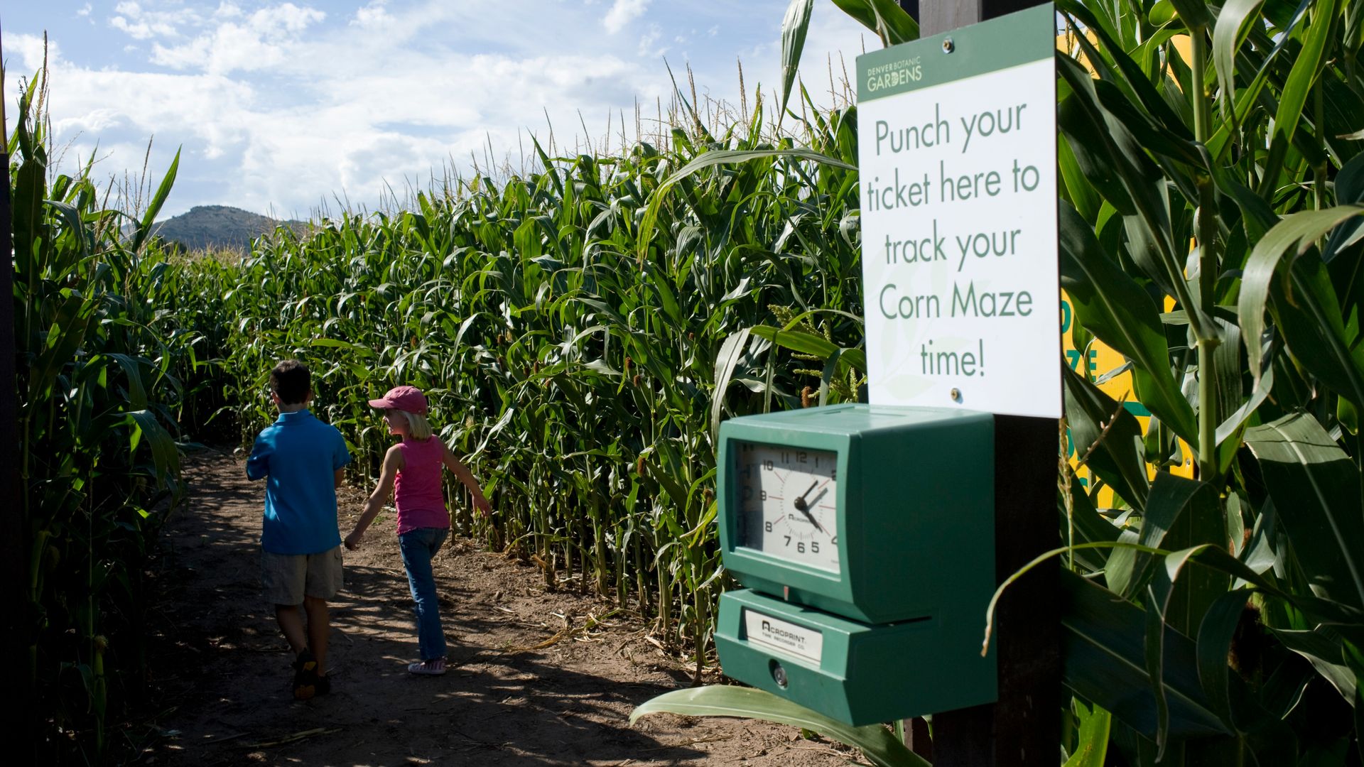 Colorado corn mazes to wander this fall - Axios Denver