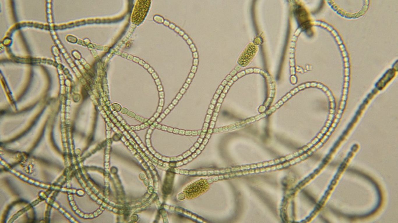 A new date for a key step in the origin of life