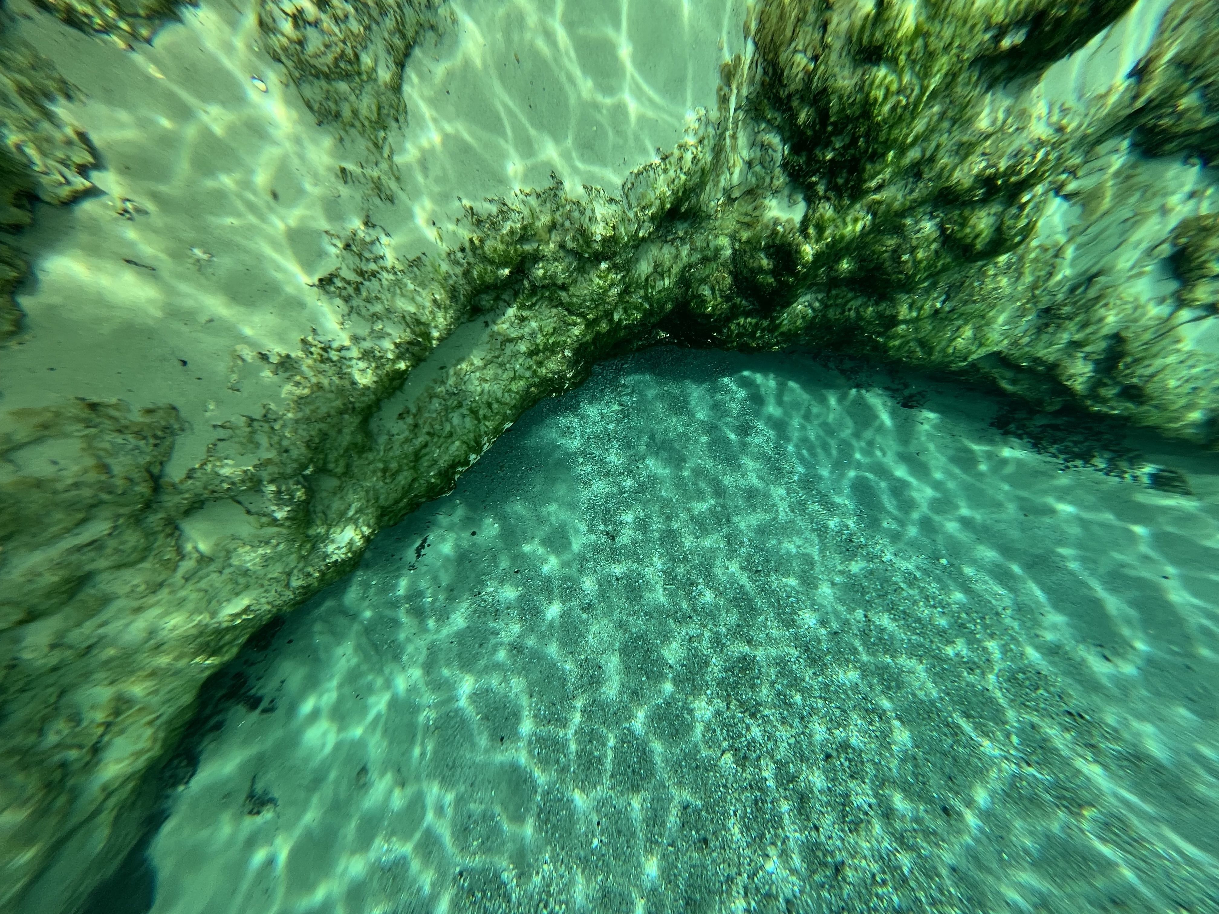 Florida springs guide: 5 stops, a dozen Panhandle, Big Bend springs ...