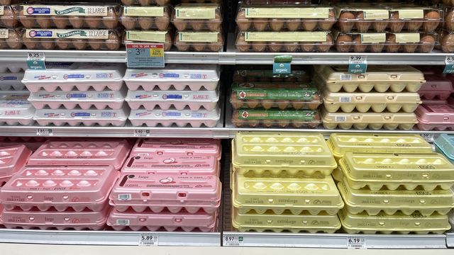 Egg prices: Sen. Reed to ask FTC to investigate possible price gouging Egg prices: Sen. Reed to ask FTC to investigate possible price gouging