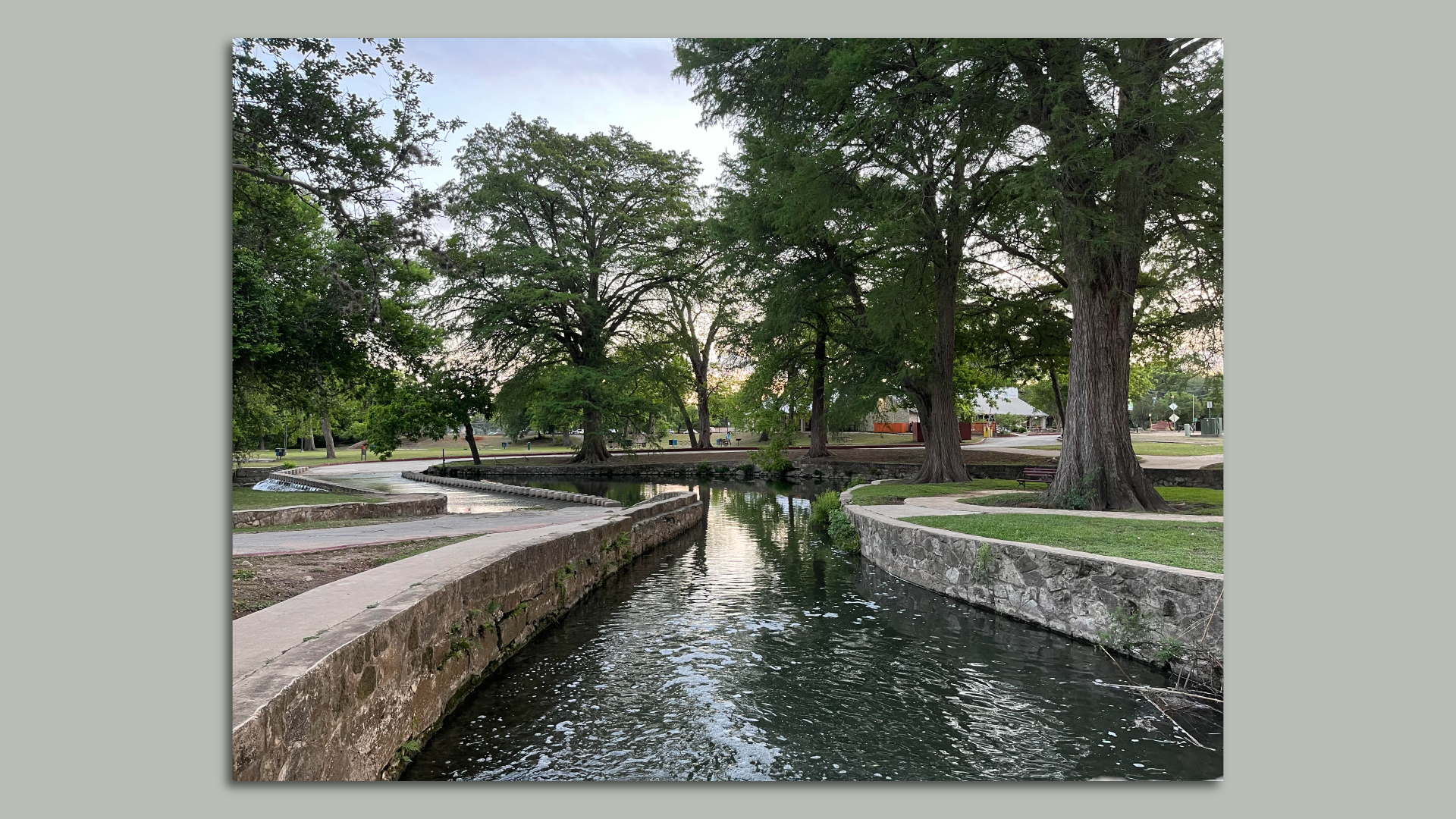 Brackenridge Park project, including tree removal, gets state approval - Axios San Antonio