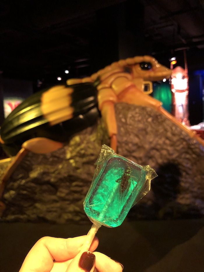 Cabin fever? Experience larger-than-life Bug Lab at Discovery Place ...