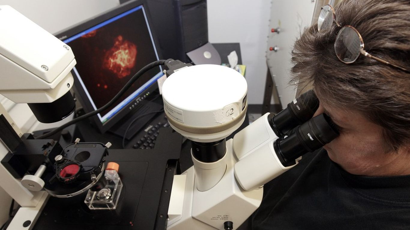 Scientists correct genetic flaw in human embryos