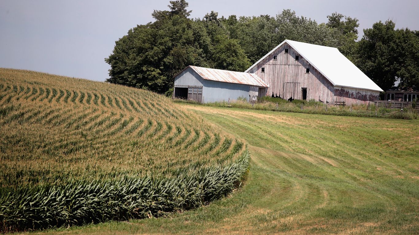 More than half of Trump's trade relief allocated to biggest, richest farms
