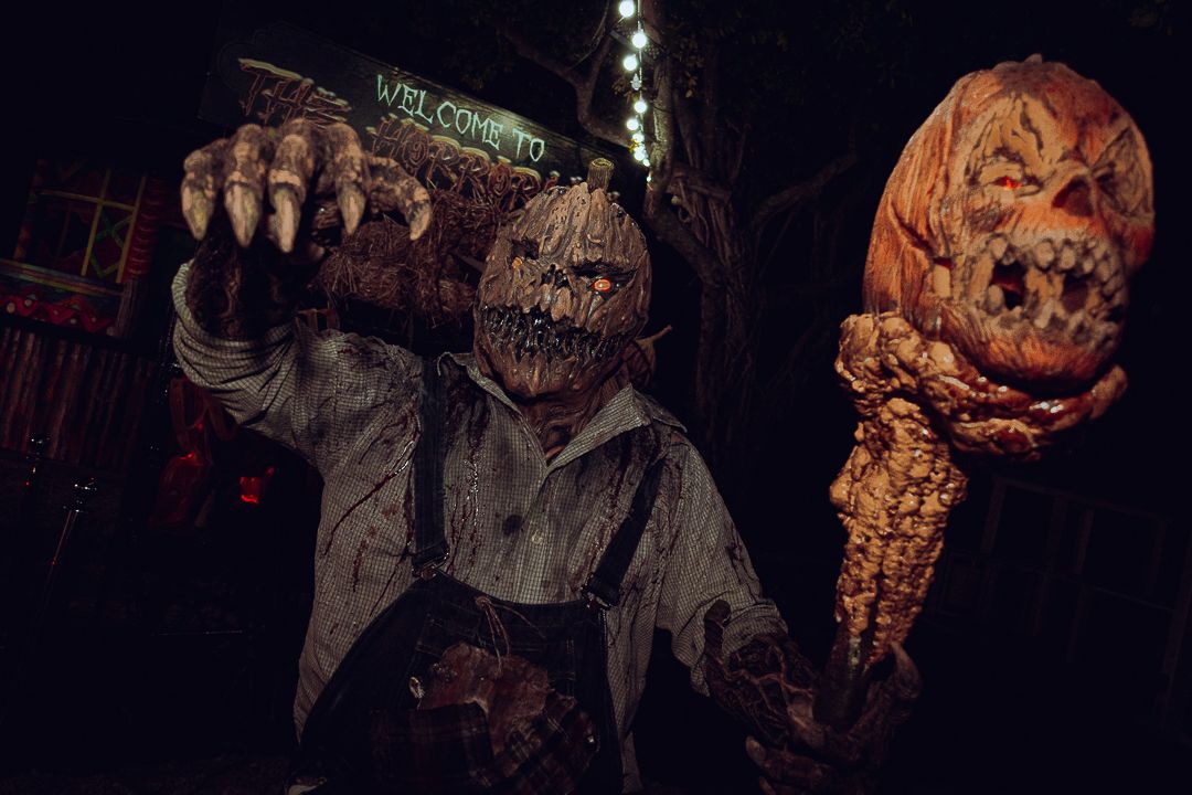 Miami fall festivals bring pumpkins, corn mazes and spooky carnivals ...