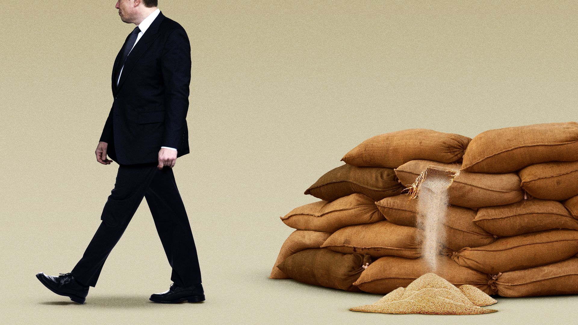 Musk's DOGE plans: What it means for NOAA, FEMA and Americans