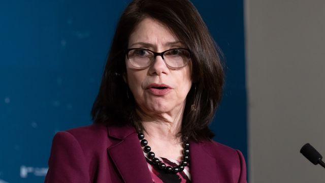 Minnesota Senate Leader Kari Dziedzic to step down from post, citing ...