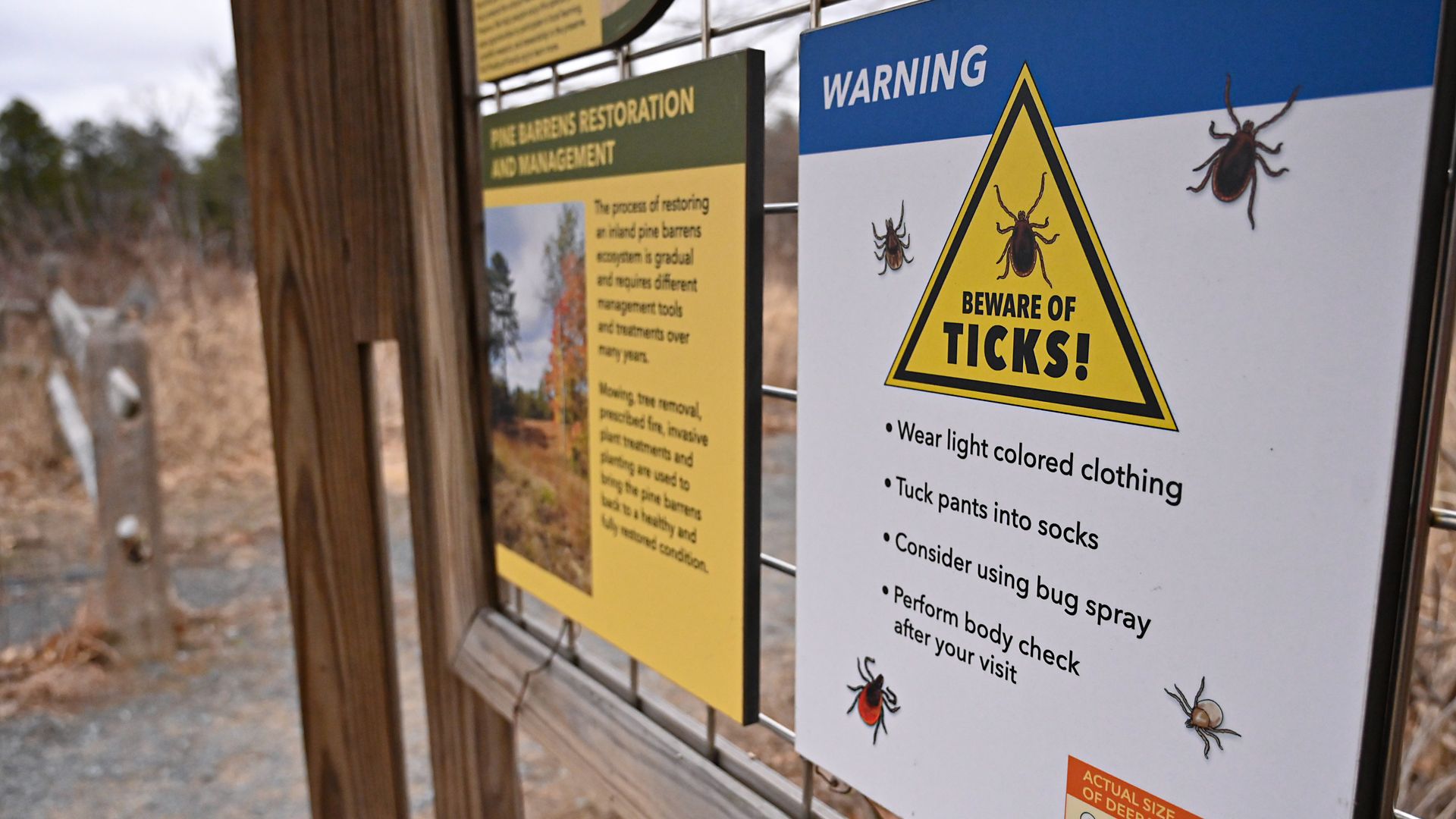 Virginia enters peak tick season as illnesses surge - Axios Richmond