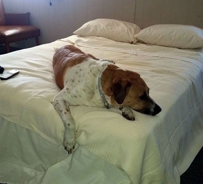 Our first 2 years at Sycamore Brewing - Axios Charlotte