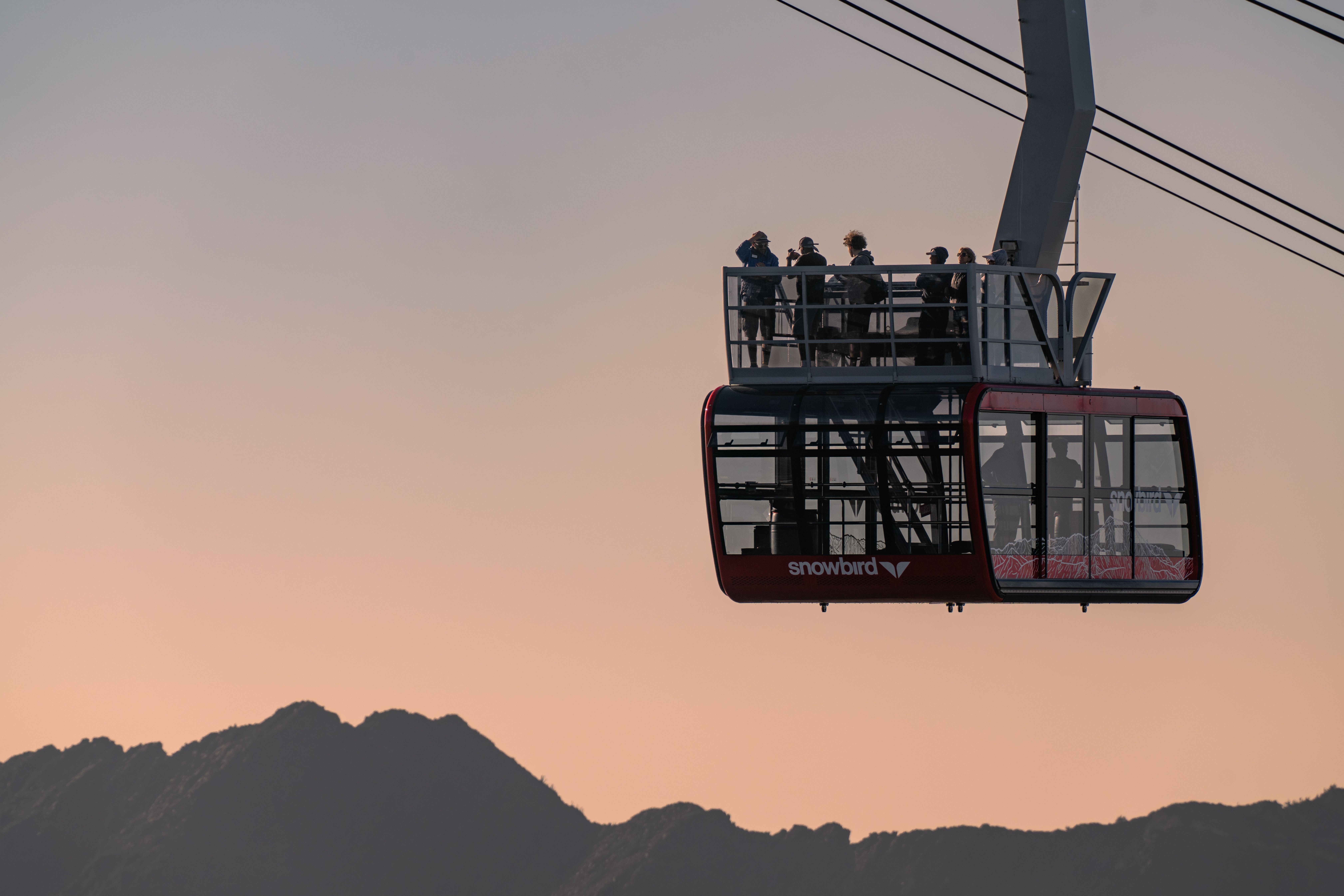 Snowbird opens mountain coaster, tram rides for summer - Axios Salt ...