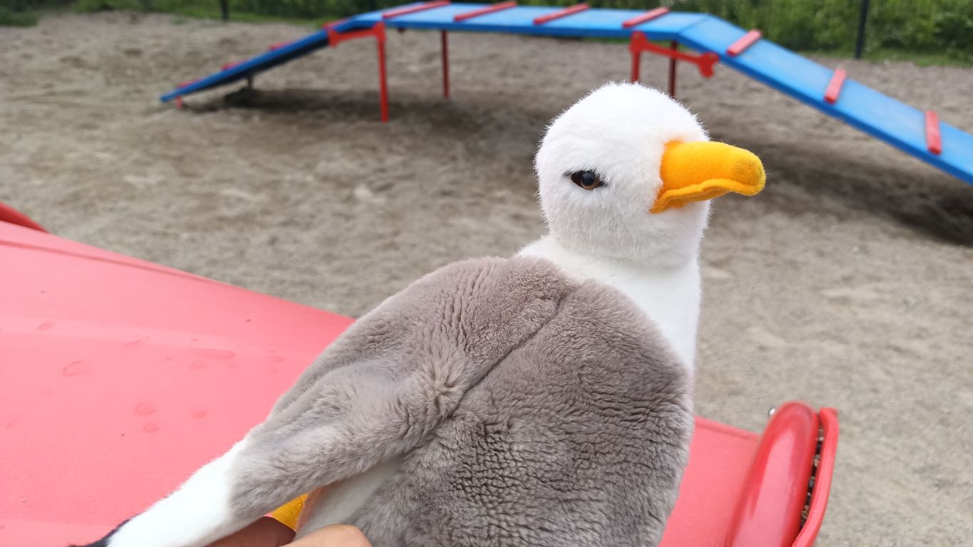 🦢 Where's Townie? - Axios Boston