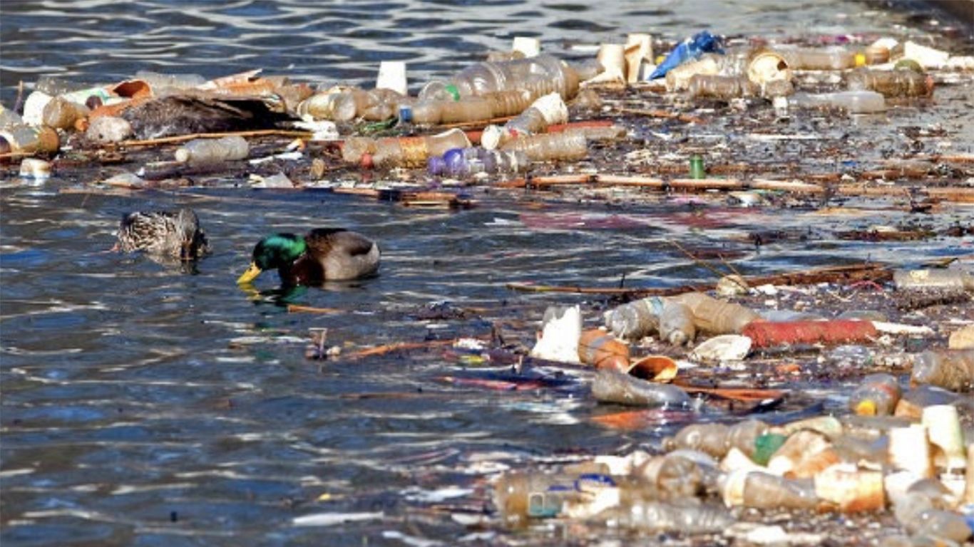 New York sues Pepsi over plastic pollution: Lawsuit says it harms health