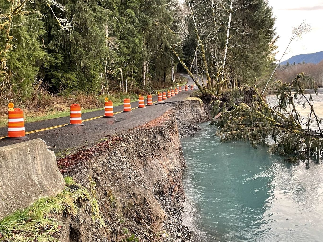 Hoh Rain Forest access road could reopen by May with new state funding pledge - Axios Seattle