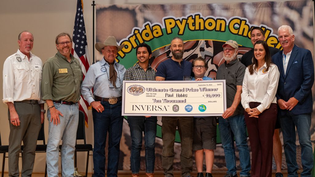 Florida Python Challenge winner catches 20 Burmese pythons in 10 days ...