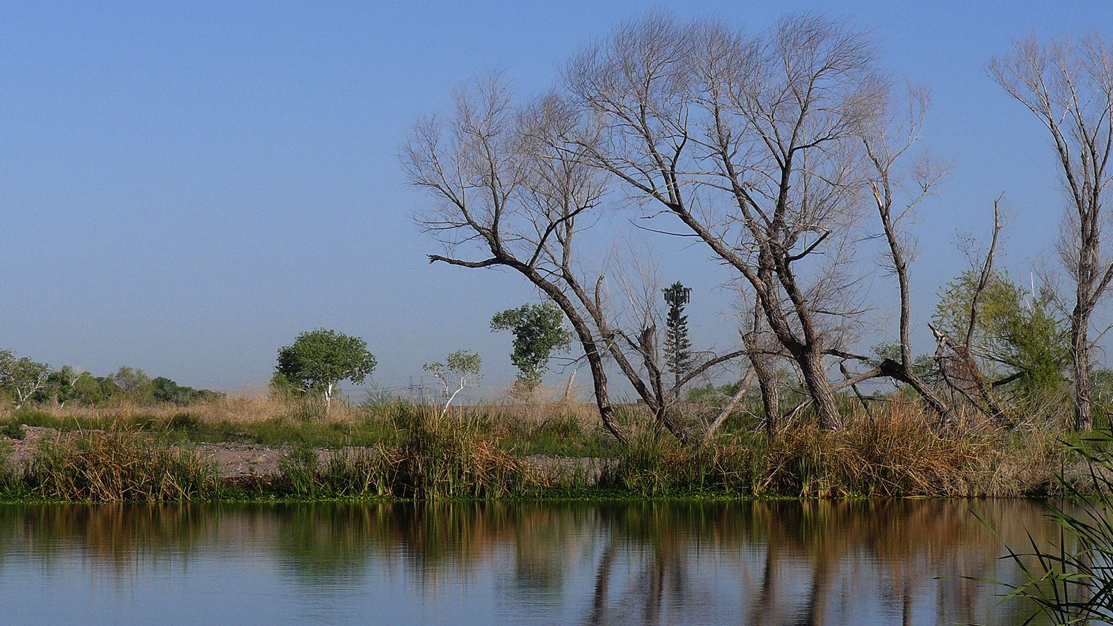Phoenix conducts a controlled burn at Tres Rios Wetlands - Axios Phoenix