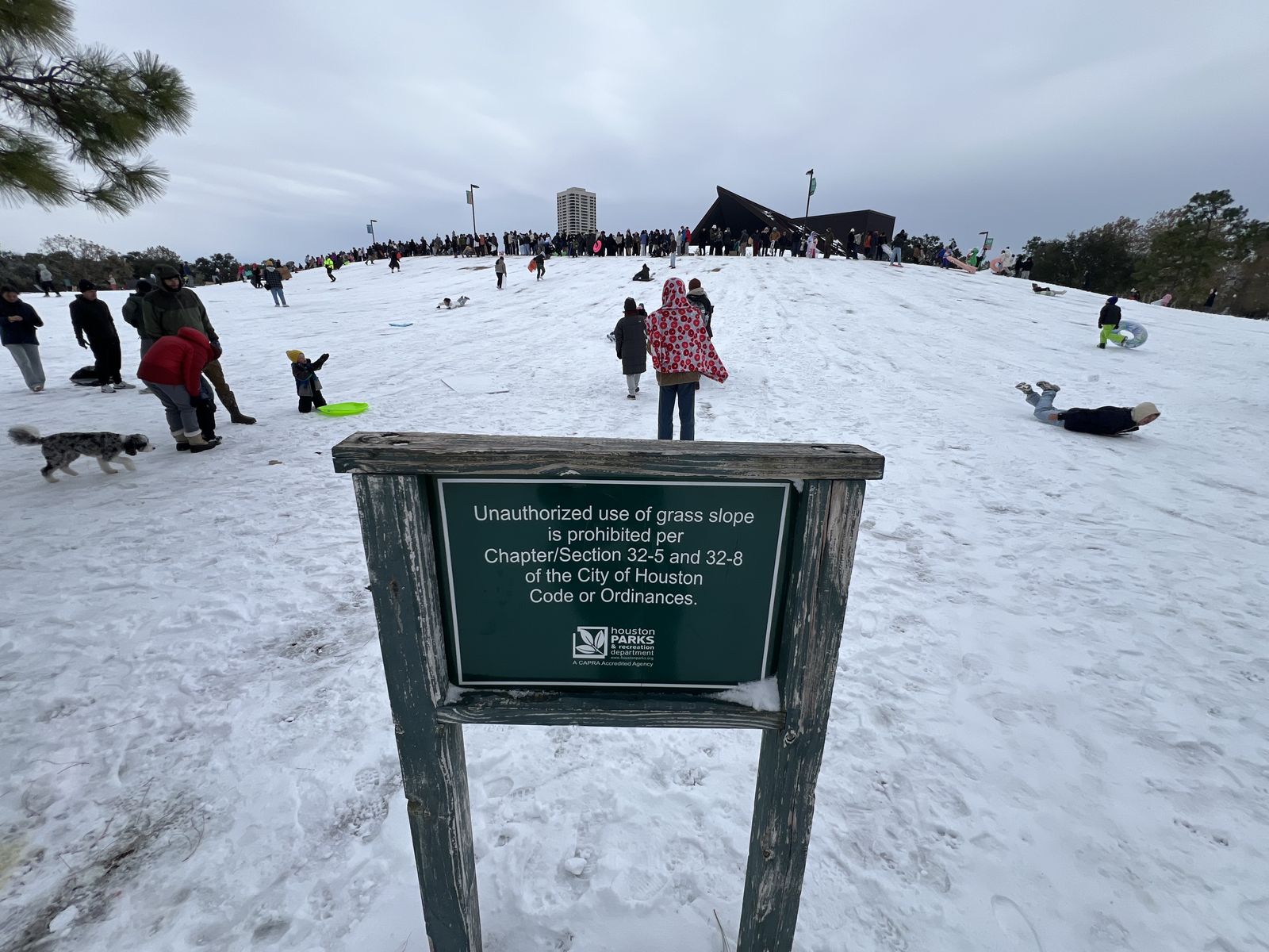 Houston's snow day in pictures - Axios Houston