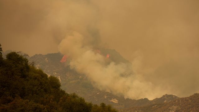 Wildfire reaches Sequoia National Park's Giant Forest