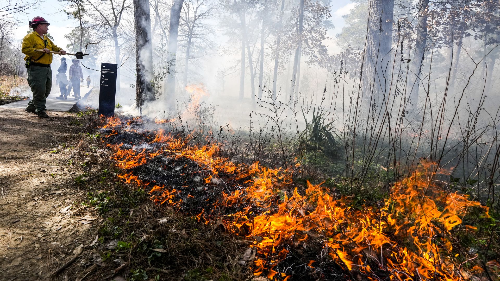 U.S. Forest Service plans logging, prescribed burns for Hoosier National Forest - Axios Indianapolis